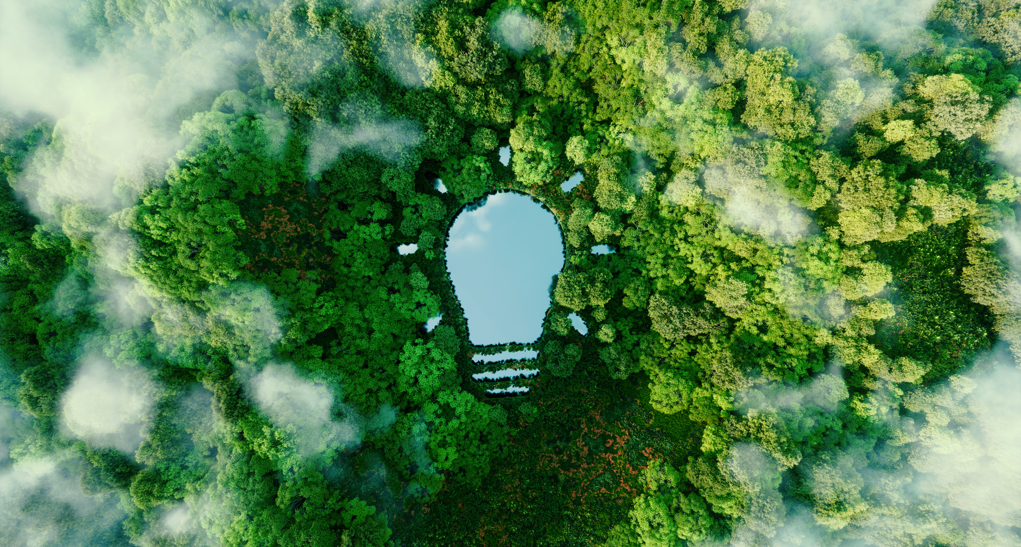 Tuck School of Business | Slaughter & Rees Report: How Commerce Can Save the Climate